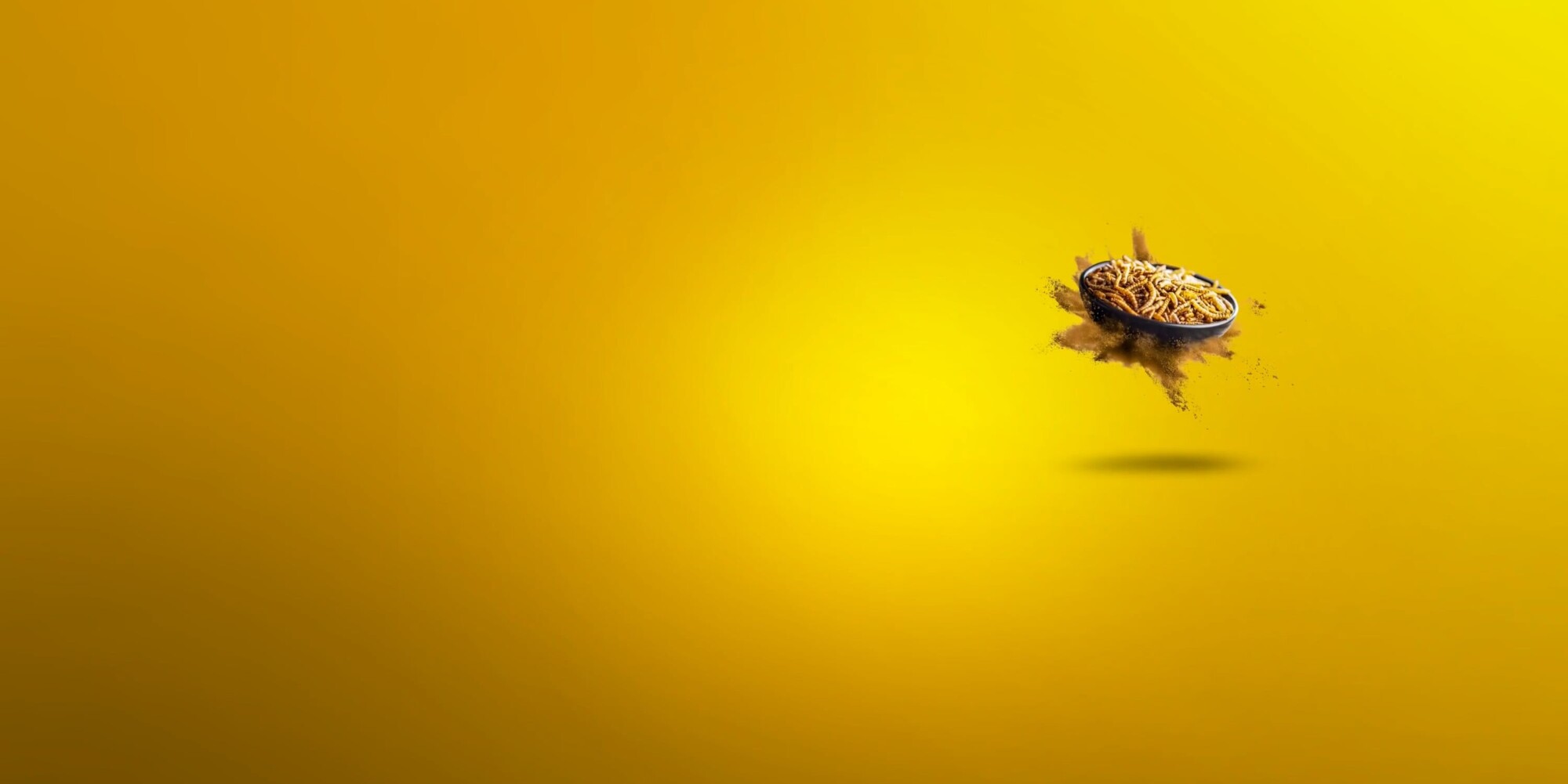 Insect Proteins - NETZSCH Grinding & Dispersing