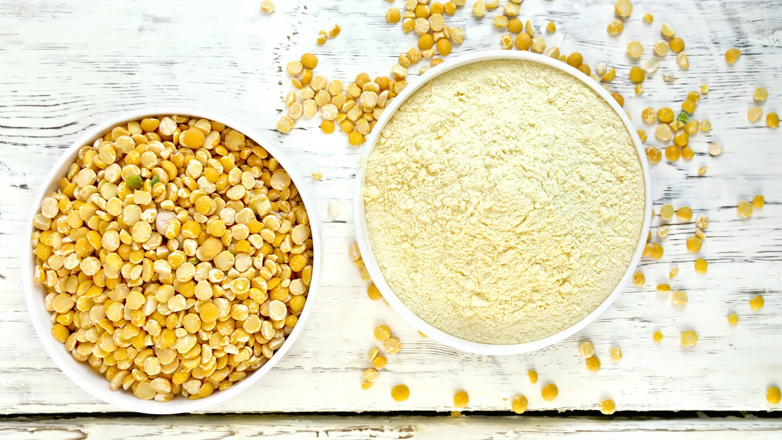 Cell Disruption - NETZSCH Grinding & Dispersing