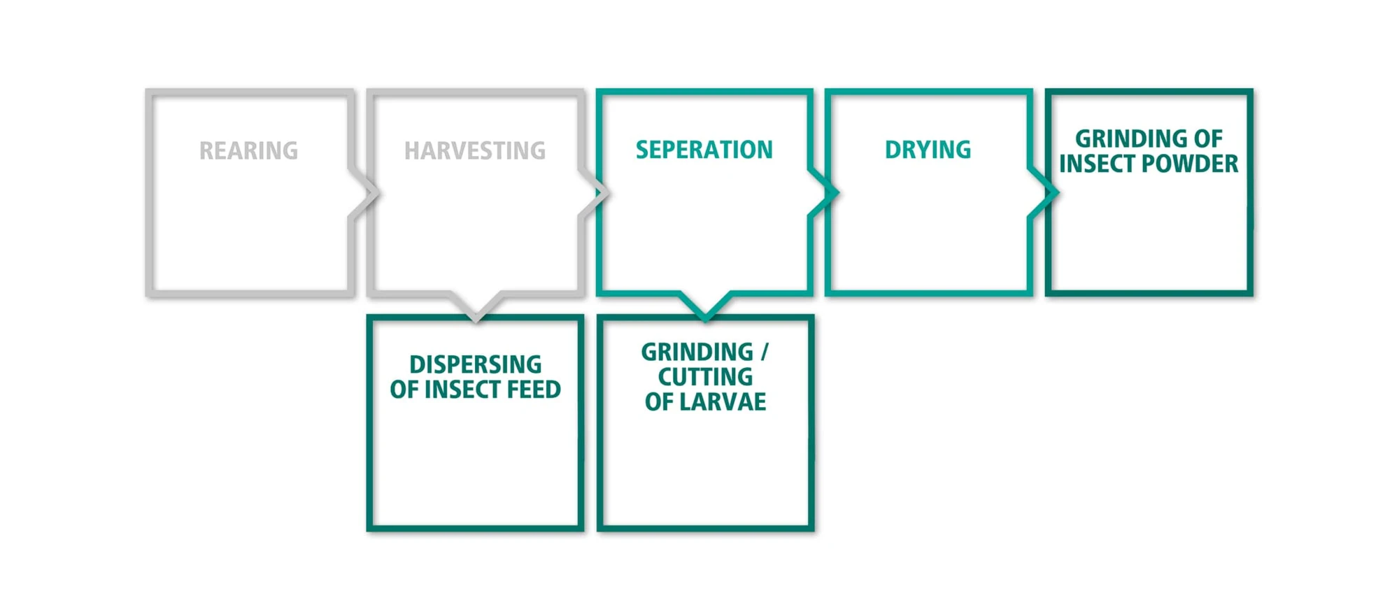 Proteínas de insectos - Maquinaria de Molienda y Dispersión